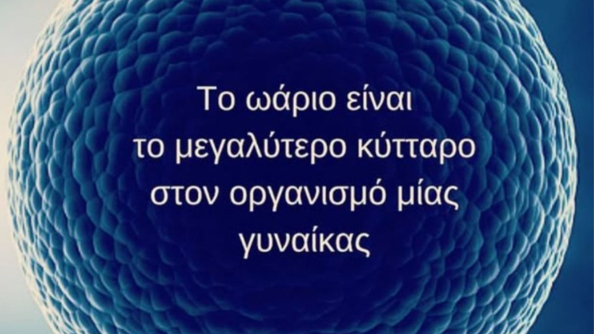 Πόσα ωάρια έχει μια γυναίκα και τι συμβαίνει με αυτά κάθε μήνα; - Δρ ...